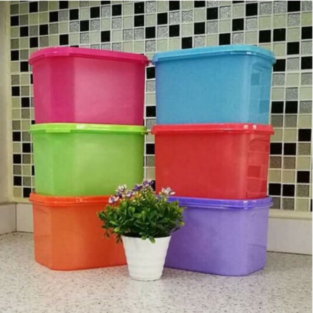Tupperware MM Mini Rectangular ll (1pc) 1.9L | Shopee Malaysia