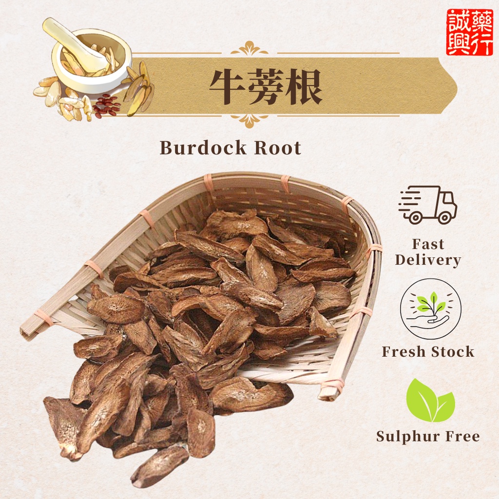 牛蒡根 | Burdock Root | Niu Bang Gen 【100g】 | Shopee Malaysia