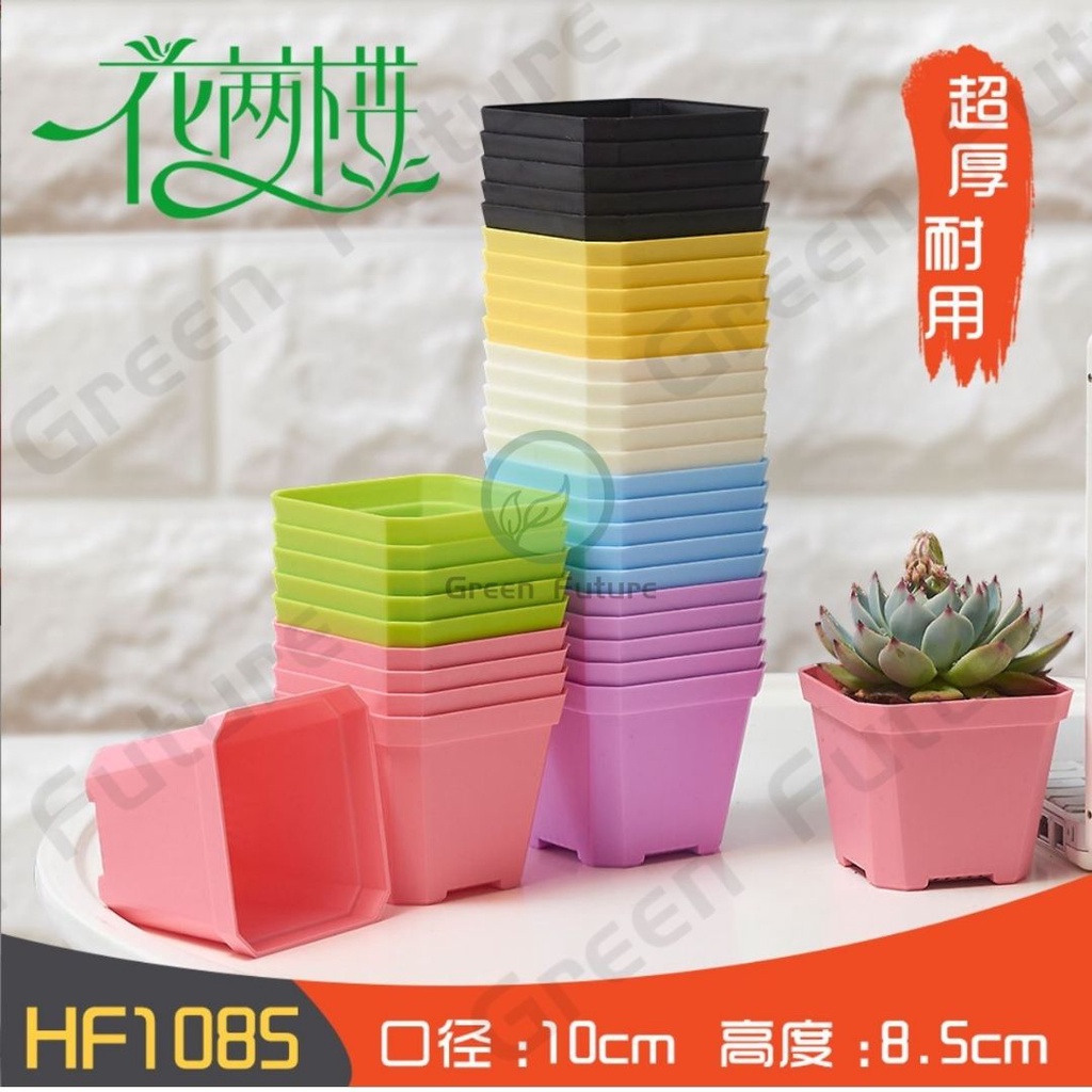 COLORFUL COLOR SUCCULENT CACTUS SQUARE PLASTIC POT PASU MINI PLASTIK ...