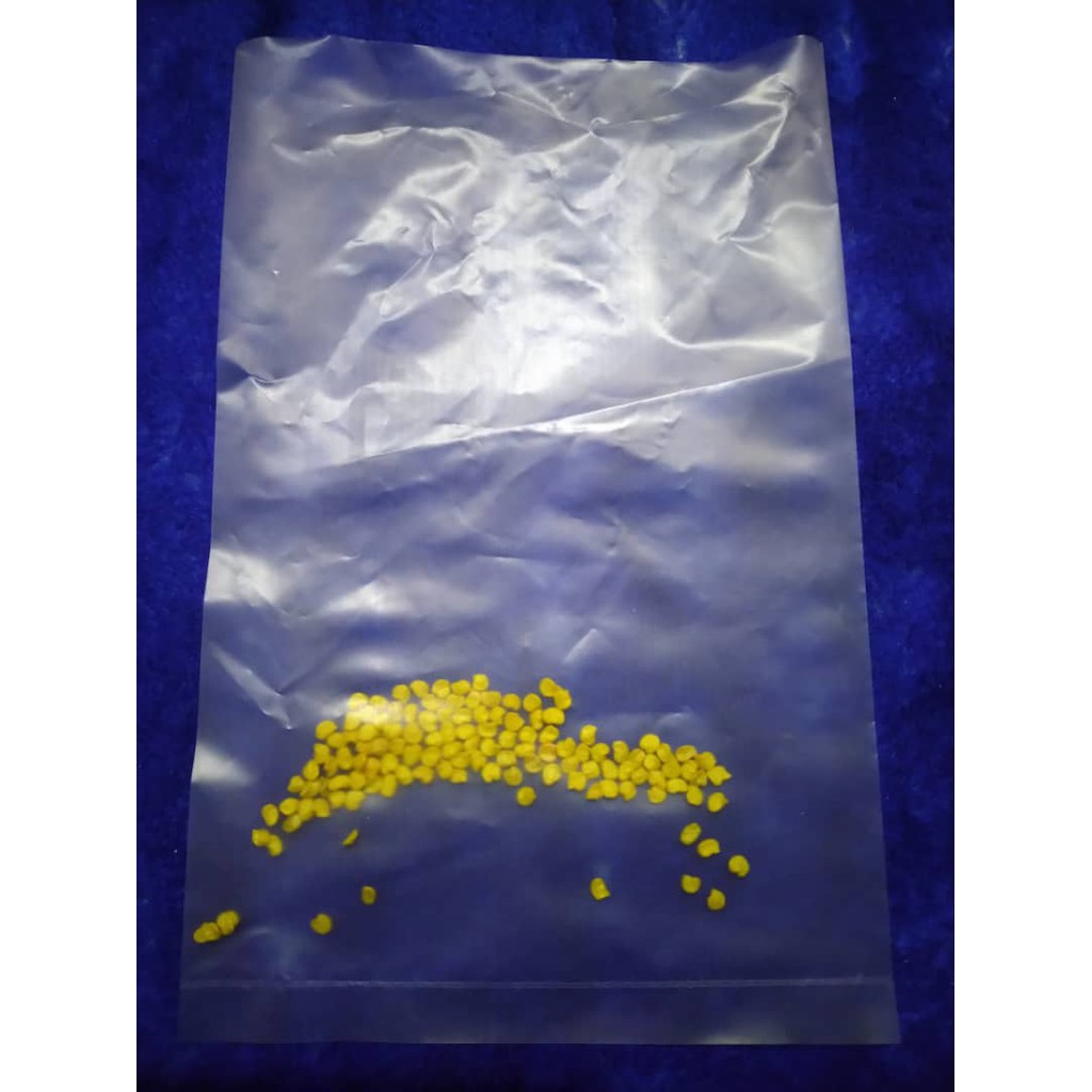 BENIH CILI API BARA PEDAS (HYBRID) | Shopee Malaysia