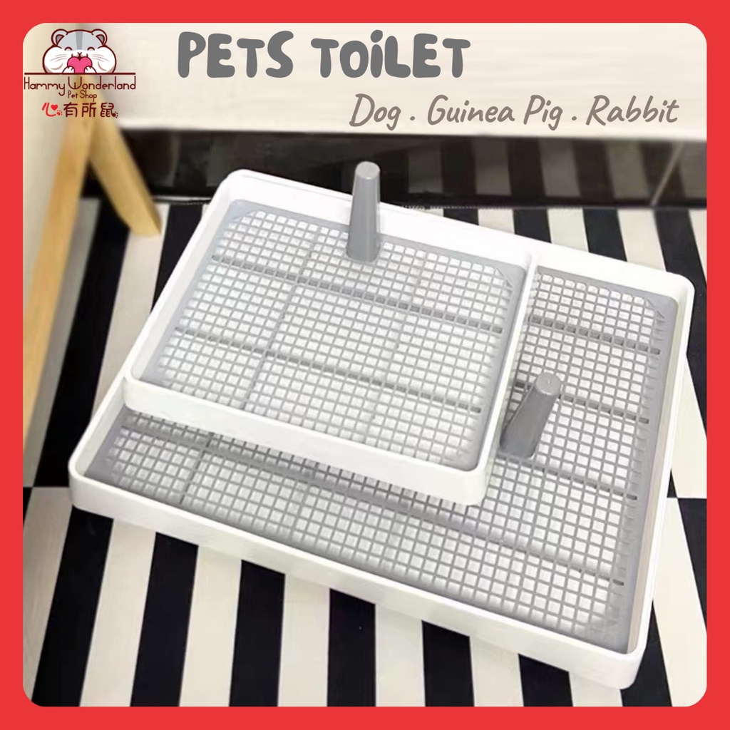 Rabbit Toilet Guinea Pig Toilet Dog Toilet Small Pet Toilet Tray 兔子便盆 ...