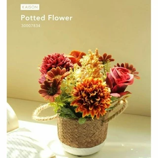 Kaison Malaysia Online Store & Catalogue, September 2024 | Shopee Malaysia