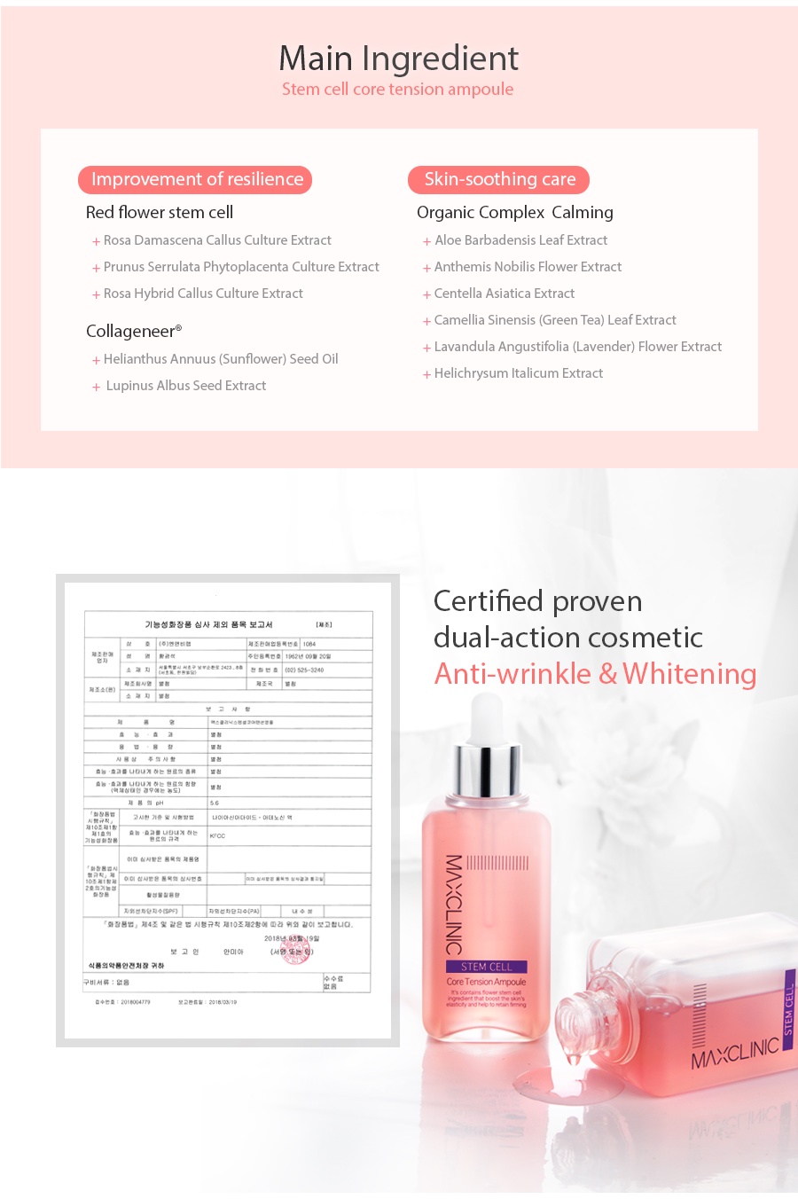 [MAXCLINIC OFFICIAL] Stem Cell Core Tension Ampoule 100ml / Serum ...