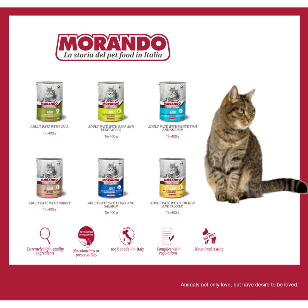 MORANDO PET CAT FOOD ADULT PATE CHICKEN AND TURKEY Cat Wet Food 400g ...