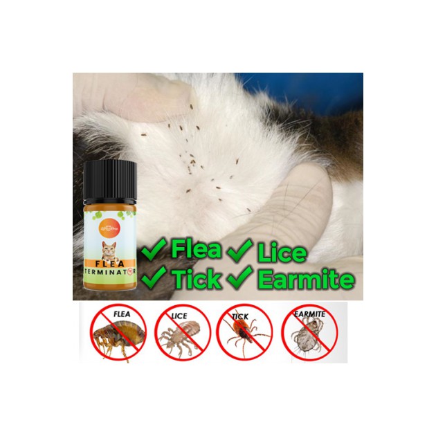 [24 HOURS EFFECTIVE] Anti Flea & Lice For Cat And Dog Tick Lice Earmite ...