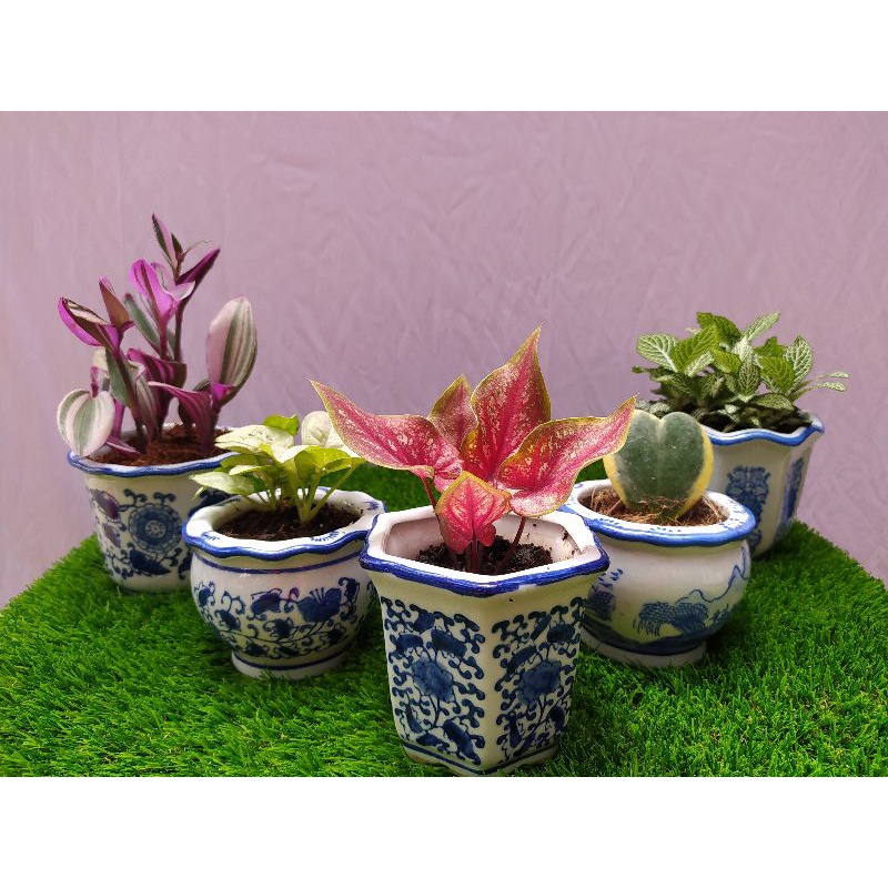🍃ZN POT🍃 Ceramic Flower Pot Pasu Bunga Small (Chinese Style) | Shopee ...