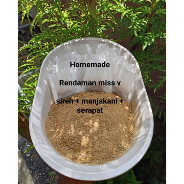 Sireh+serapat+manjakani rendaman untuk miss v kesayangan | Shopee Malaysia