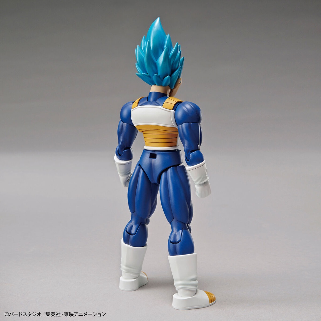 (Ready Stock) Bandai FRS Figure-rise Standard Super Saiyan God Super ...