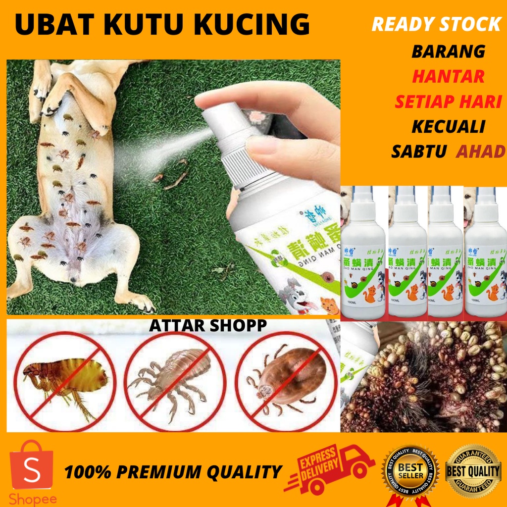 UBAT KUTU KUCING DAN ANJING 100ML BERKESAN Zao Man Qing/ kutu kucing ...