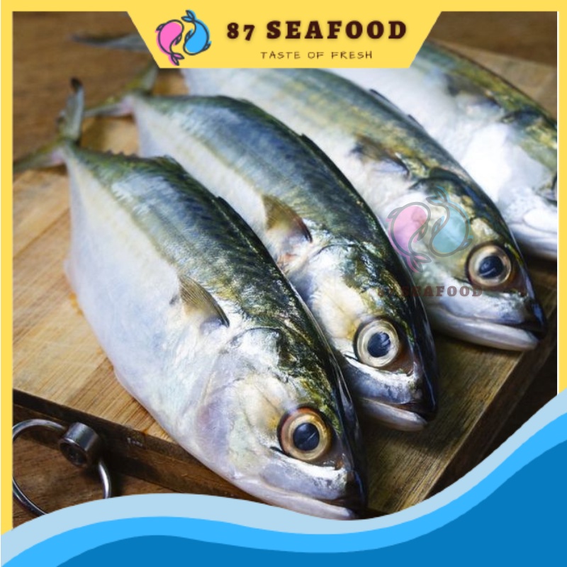 Local Wild Caught Kembong Batu Fish Mackerel ( 600 - 1000g ) Cleaned ...