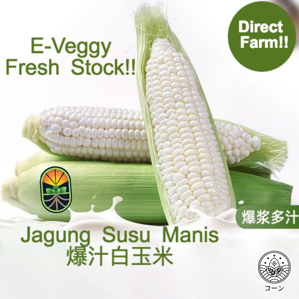 [PRE-ORDER | 预购] 6-10 PCS | Grade A/AA/AAA | Cameron Highlands Sweet ...