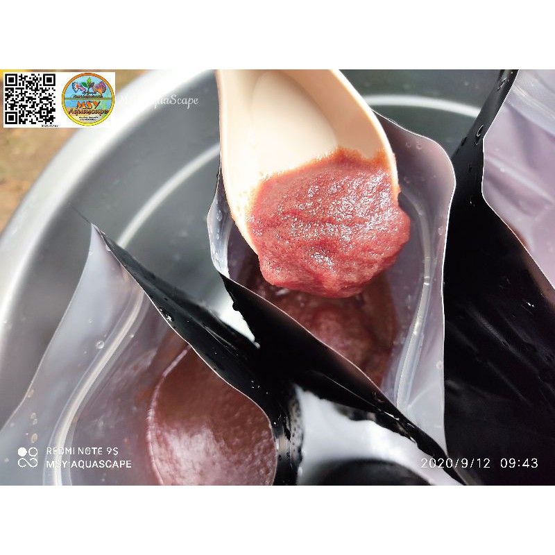 Kutu air beku / Moina Frozen /Makanan ikan | Shopee Malaysia