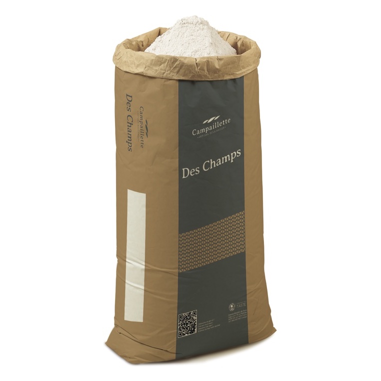 T65 French Flour 1KG 500g Grands Moulins De Paris Des Champ 法国面包粉法国高筋面粉 ...
