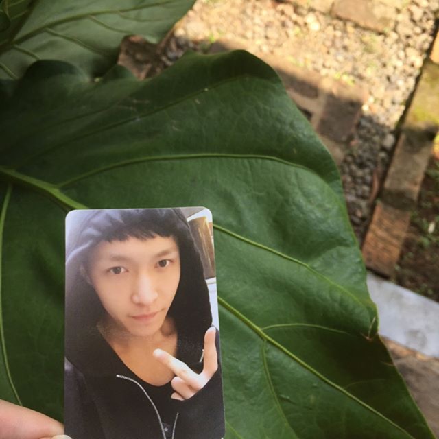 Lay overdose photocard | Shopee Malaysia