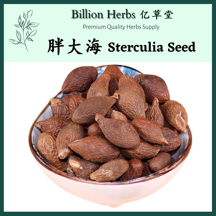 亿草堂 胖大海 100g Sterculia Seed / 中药材 Chinese Herbs / 中药 中草药 草药 药材 | Shopee ...