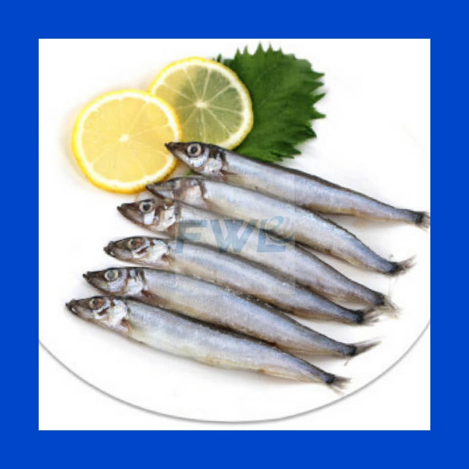 FROZEN SHISAMO FISH I 多春鱼 ( For Klang Valley Only ) | Shopee Malaysia