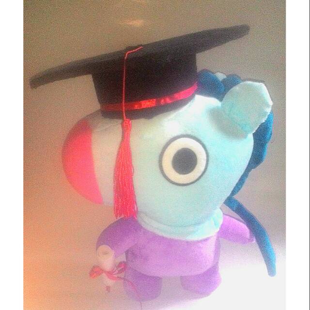 Bts Graduation Doll Mang J Hope, BT21 Mang Doll K-Pop BT21 Doll ...