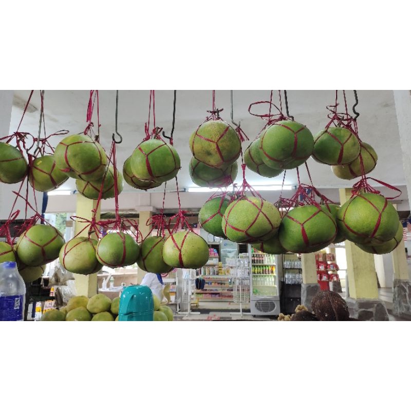 LIMAU BALI ISI MERAH | Shopee Malaysia