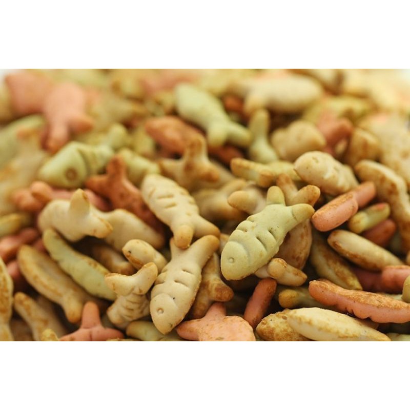 Fish Flavour Catnip Biscuit Mint Cat Pet Treat Snack 1kg | Shopee Malaysia
