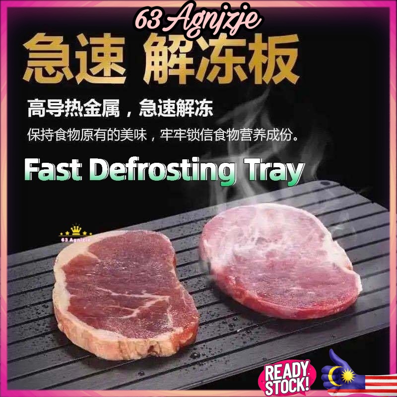 ‼️Ready Stock‼️Fast Defrosting Tray Thaw Frozen Food Meat Fruit Quick ...