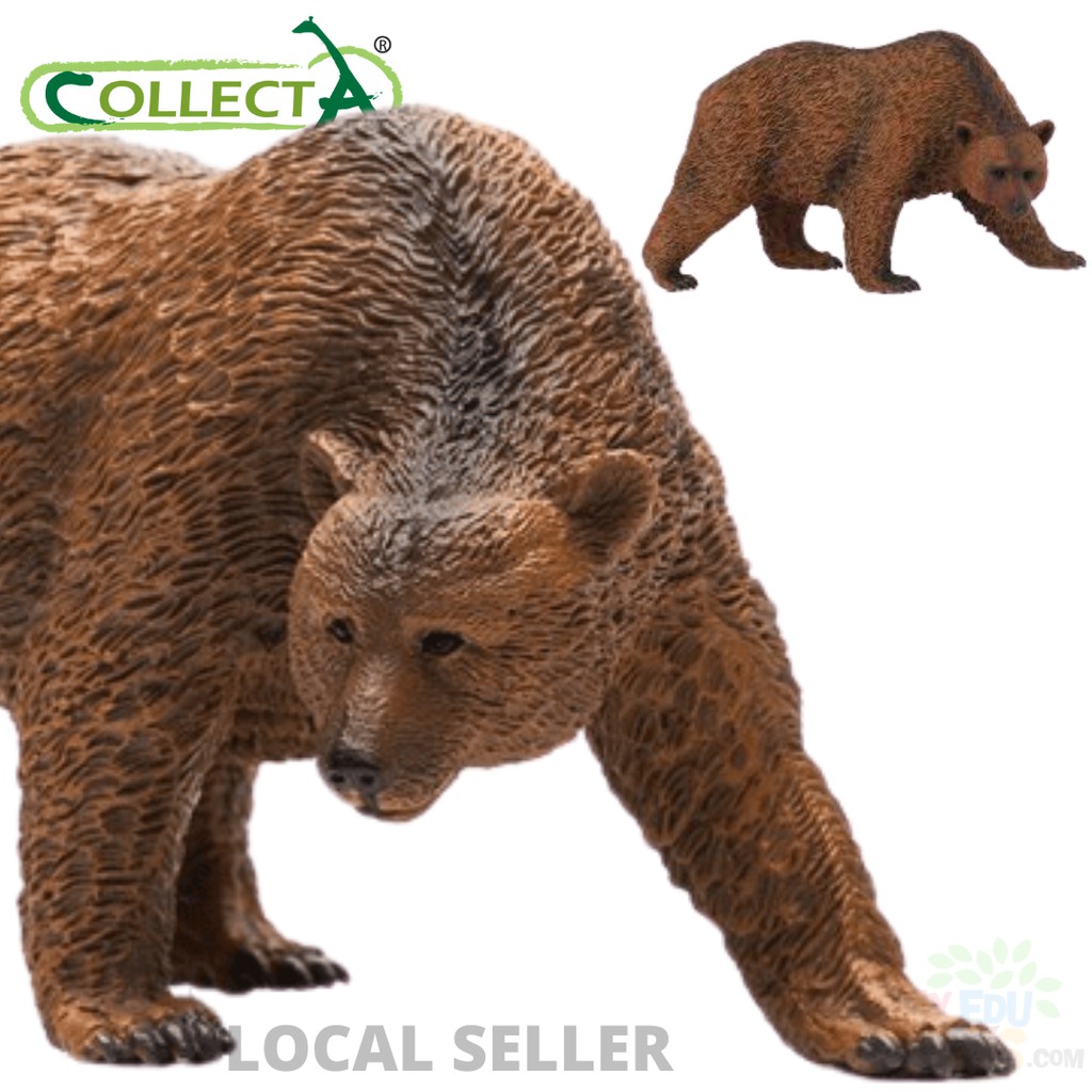 Brown Bear - Collecta 88560 Wild Life Animal Action Figures / Toys ...