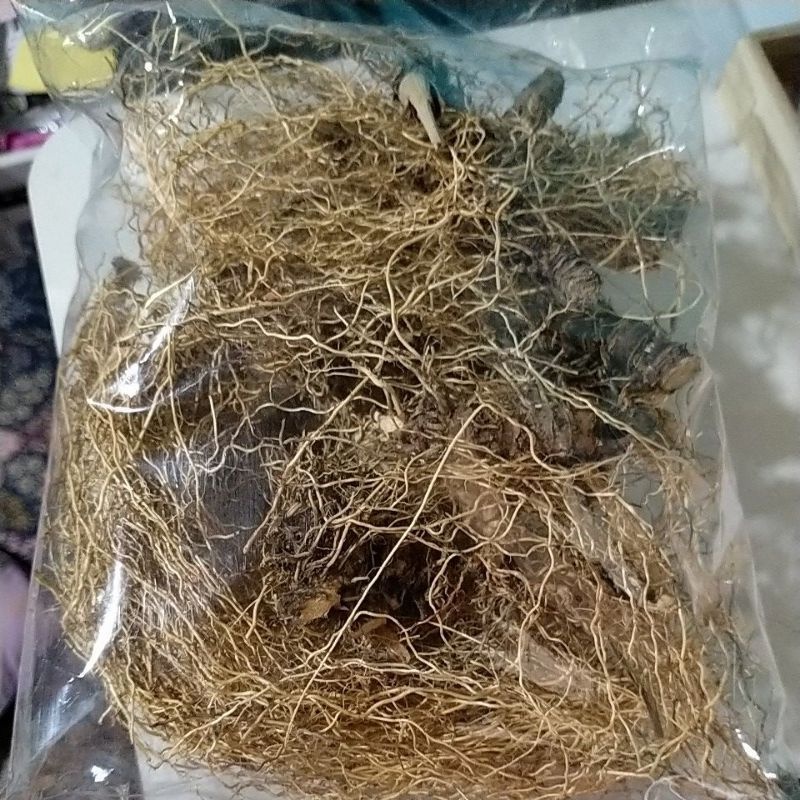 AKAR SERAI WANGI(Cymbopogon dardus root dried) | Shopee Malaysia