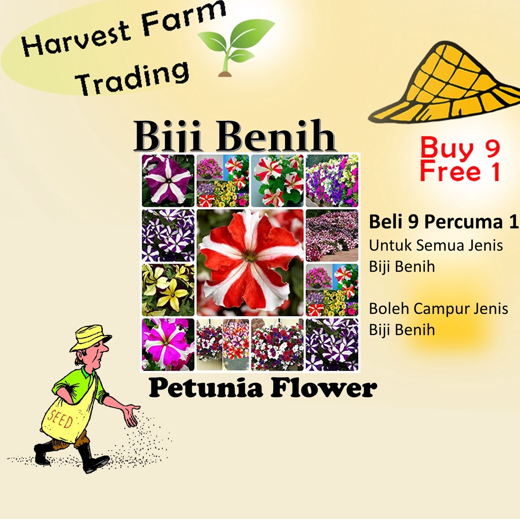 150Pcs +-Biji Benih Bunga Petunia campur Flower seeds Mix Petunia 花种子 ...