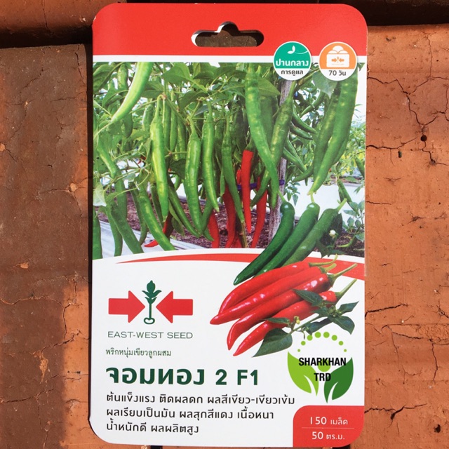 Mini Pack 150 Seeds CHOMTONG 2 F1 Biji Benih Cili Kulai F1 Hybrid Green ...