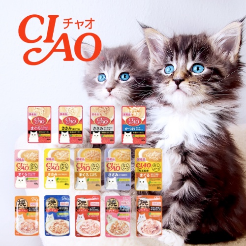 Inaba / Ciao Pouch Regular / Ciao Soup 40gm, Ciao Grilled Pouch 50gm Ciao Tuna Wet Food | Shopee ...