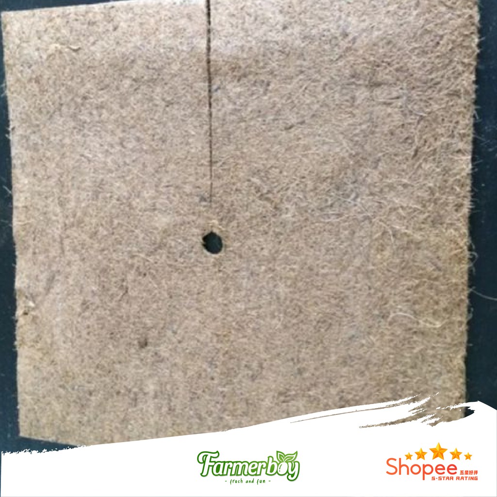 Organic Weed Mat 50cm ( Palm Fibre Mat ) for Mulching Weed Control ...