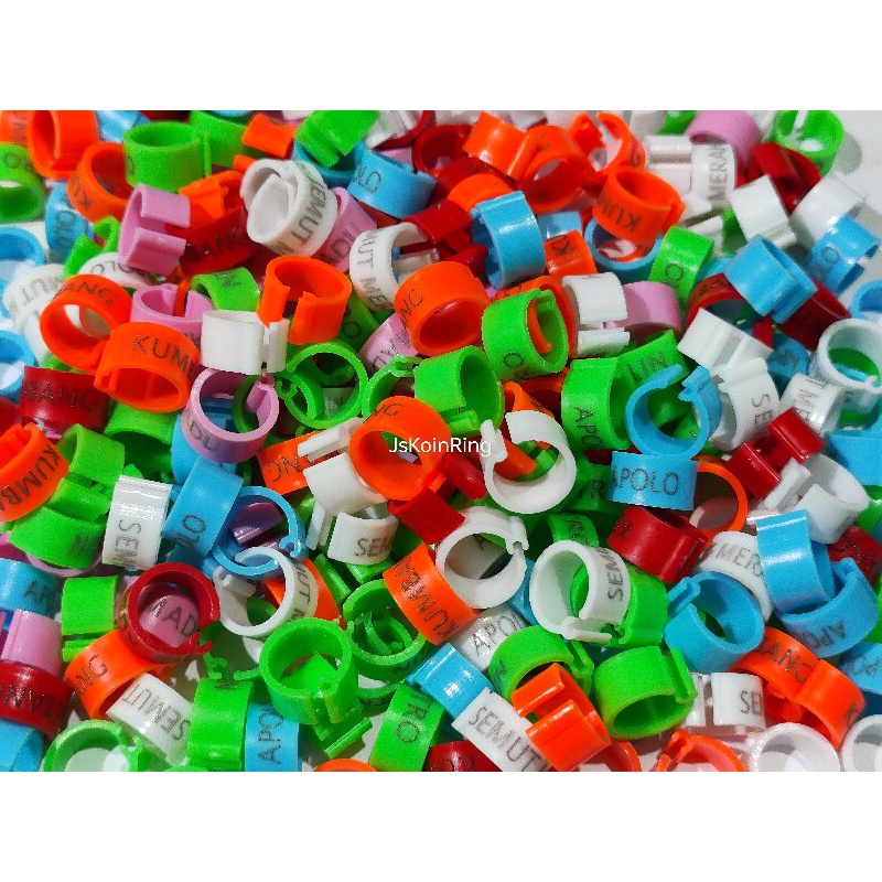 Adult NAME CLIP DOVE RING | Shopee Malaysia