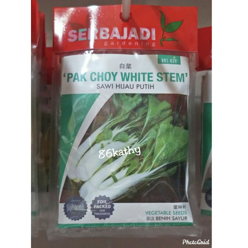 (BBS039 Seed) Serbajadi Vegetable Pak Choy White Stem / Biji Benih Sawi ...