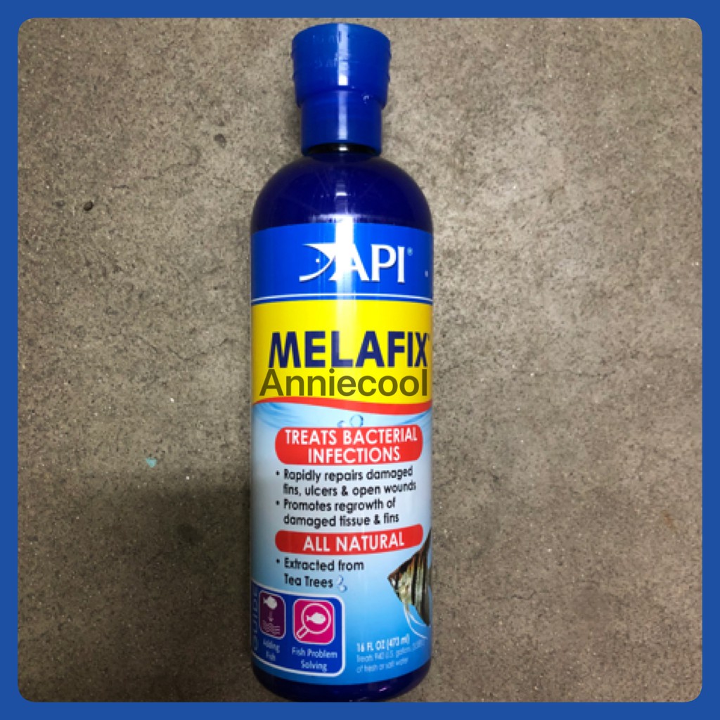 (NEW STOCK) API MELAFIX NATURAL ANTIBACTERIA - 473ML | Shopee Malaysia
