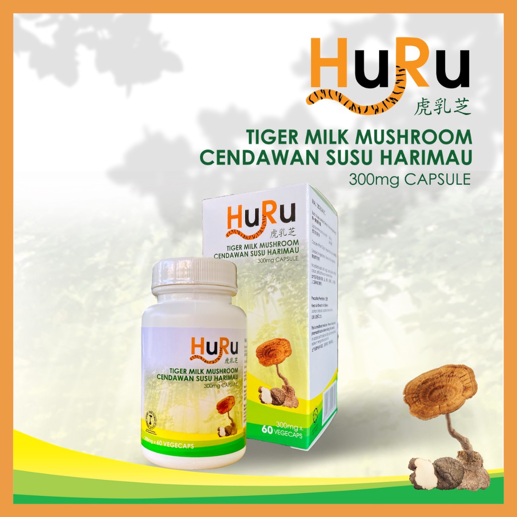 HURU 虎乳芝 Tiger Milk Mushroom/ Cendawan Susu Harimau (HALAL) | Shopee ...