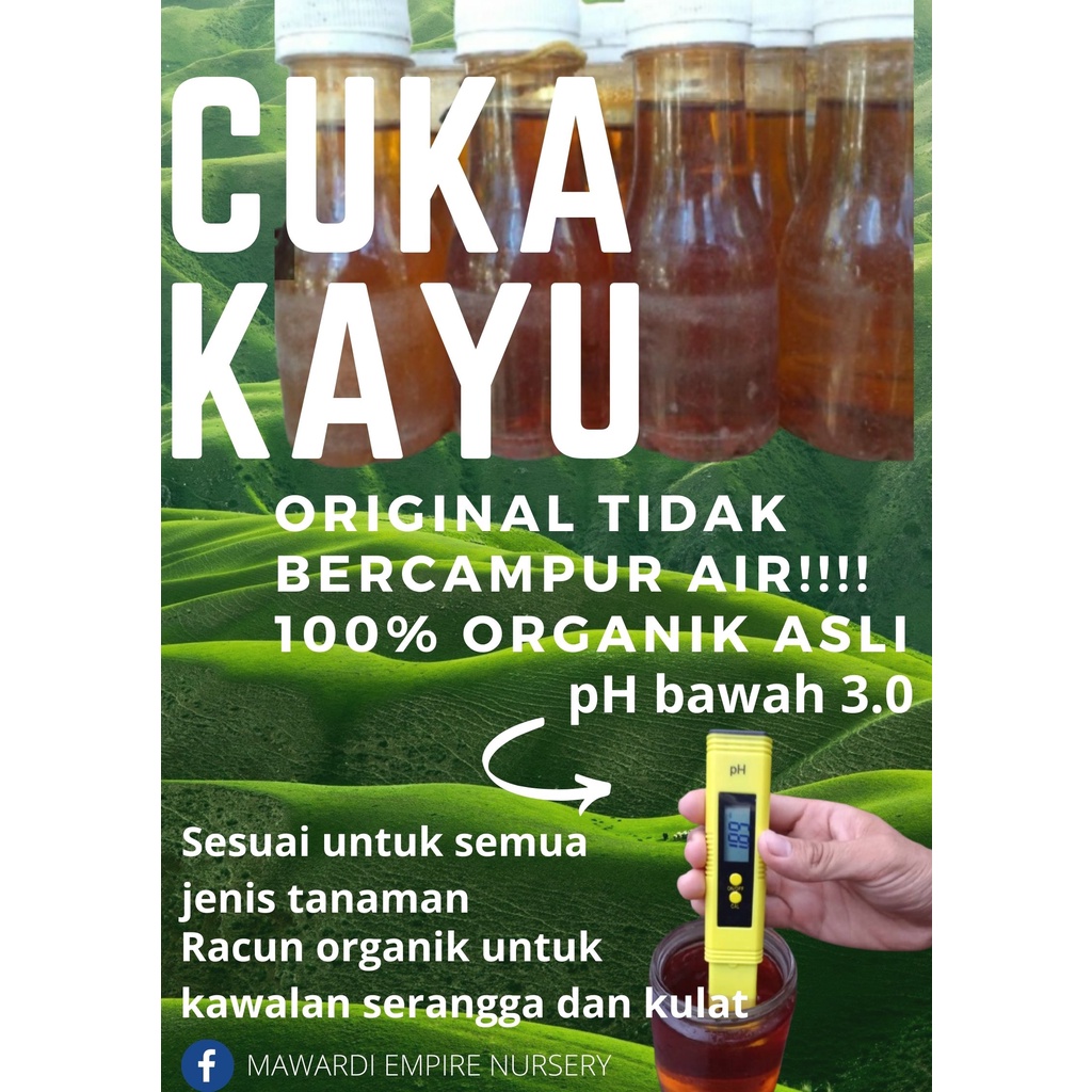 ORIGINAL Cuka Kayu 100ml racun organik. ph bawah 3.0!! | Shopee Malaysia