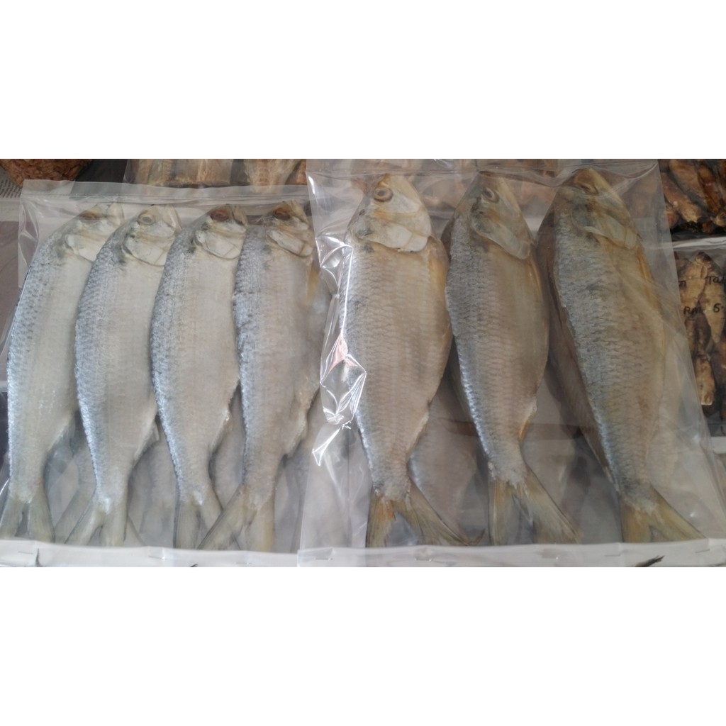 (ORIGINAL) Ikan Terubuk Masin Sarawak. | Shopee Malaysia