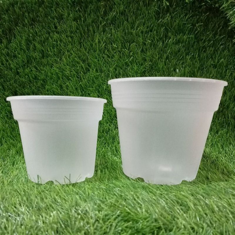 Ready Stock (soft clear pot) (transparent/clear pot) multi use growing ...