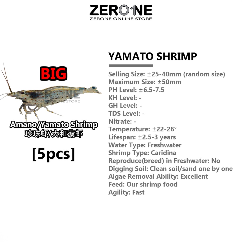 ZERONE 2-10pcs Yamato Shrimp / Amano Shrimp / Algae Shrimp / 大和藻虾 / 珍珠虾 / Algae Eater / Tank ...