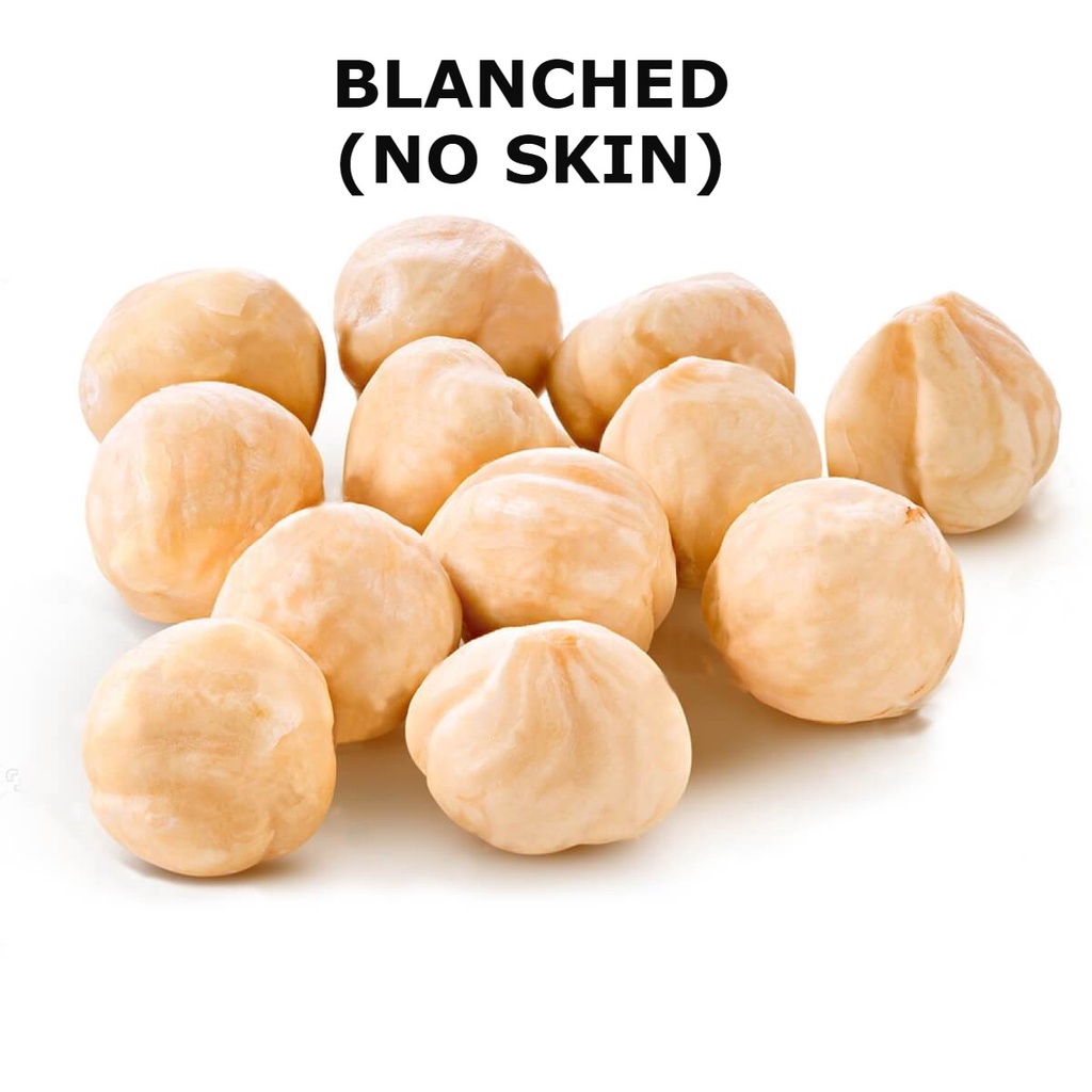 500g | 1kg RAW / ROASTED HAZELNUT WHOLE BLANCHED IMPORTED FROM TURKEY ...