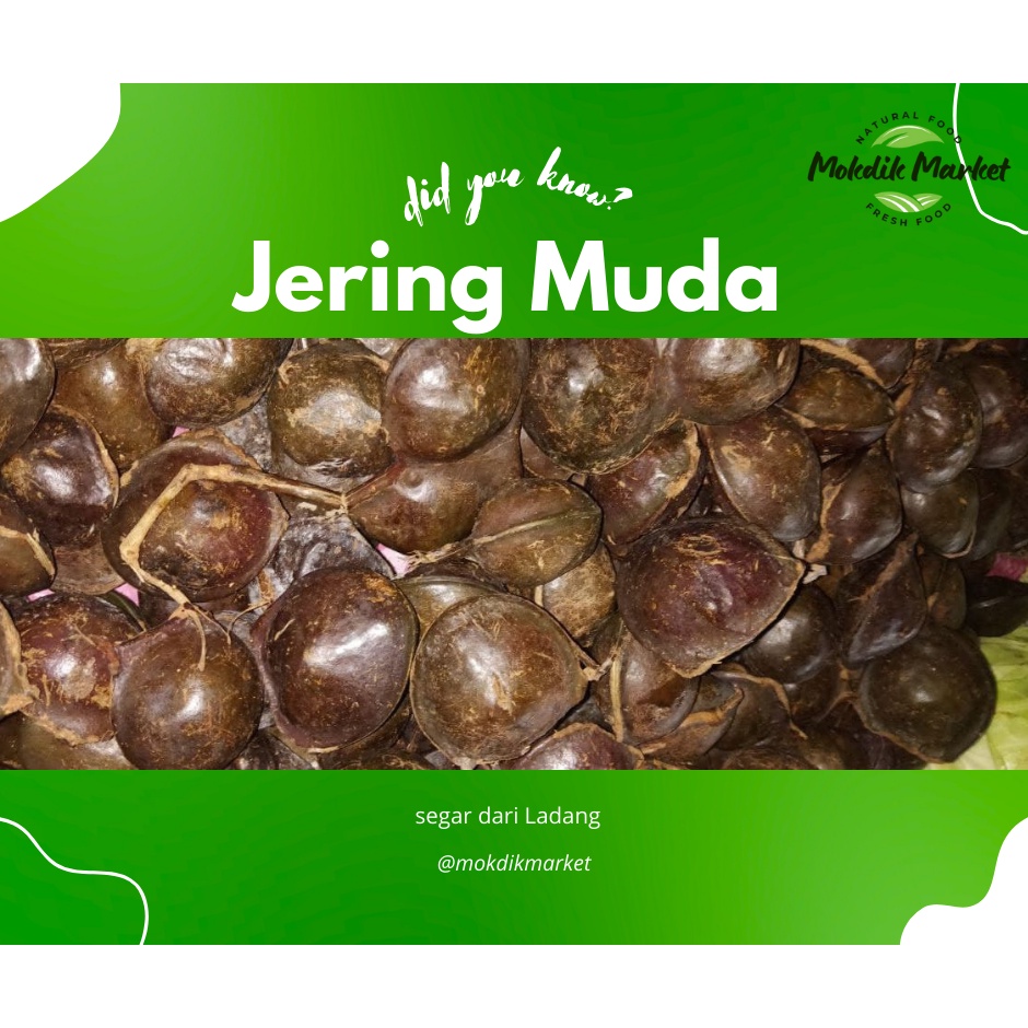 Jering Muda Ulam Segar Kelantan | Shopee Malaysia