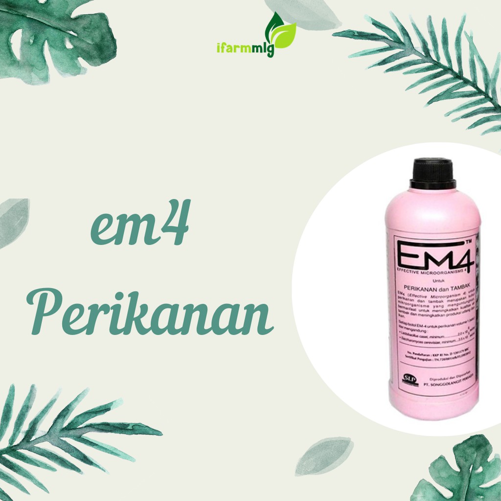 Em4 Fisher And Shooting - EM4 Fish Pond - EM4 Shrimp Shoot - Nutrition Of Nila Fish | Shopee ...