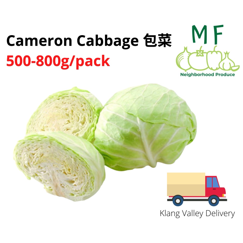[Fresh From Farm] 金马伦包菜 Cameron Cabbage/Kobis Bulat 500g-800g (Klang ...