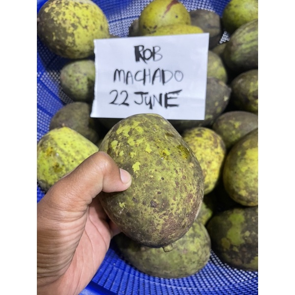BACANG / MACANG / 1KG | Shopee Malaysia