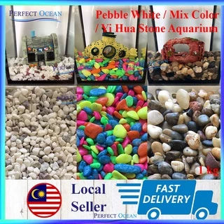 pebble stone - Prices and Promotions - Dec 2025 | Shopee Malaysia