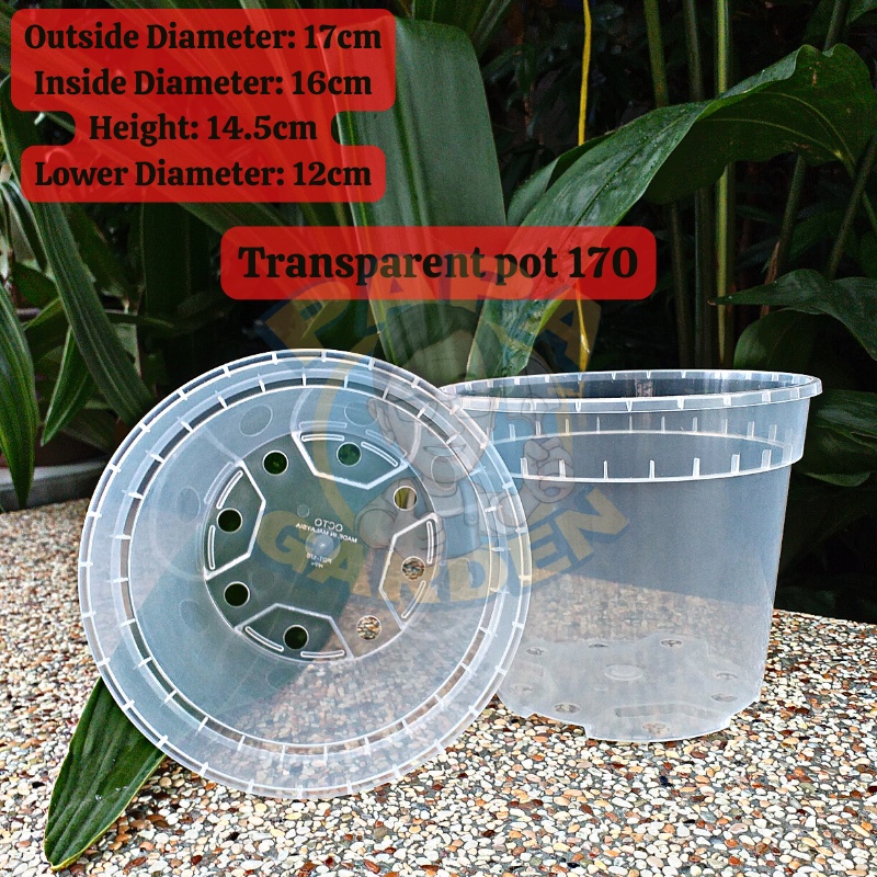 Flower Pot Transparent 150/170/220 Hydroponics Orchid Gardening Durable ...