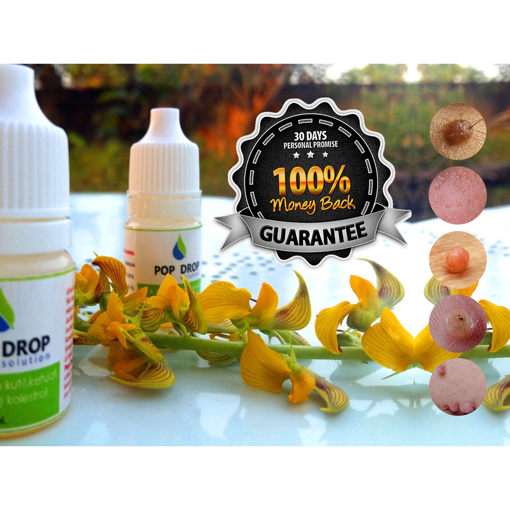 KETUAT BUANG KETUAT POP DROP 🔥UBAT BUANG TAHI LALAT | KETUAT | KUTIL ...