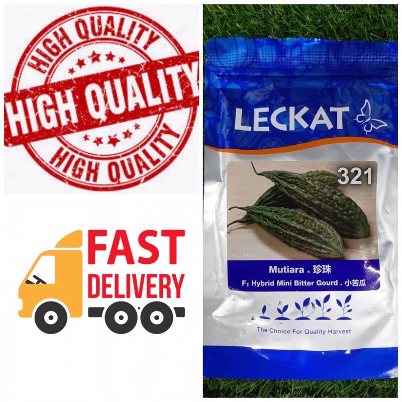 Paket 100g @ 500 Seeds MUTIARA 321 Leckat Biji Benih Peria Katak Kecil ...