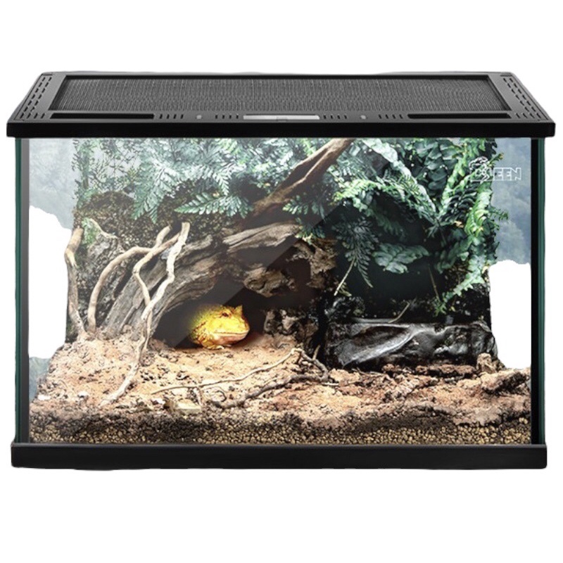 CLEEN Reptile Clear Glass Terrarium / Climbing Pet Feeding Tank ...