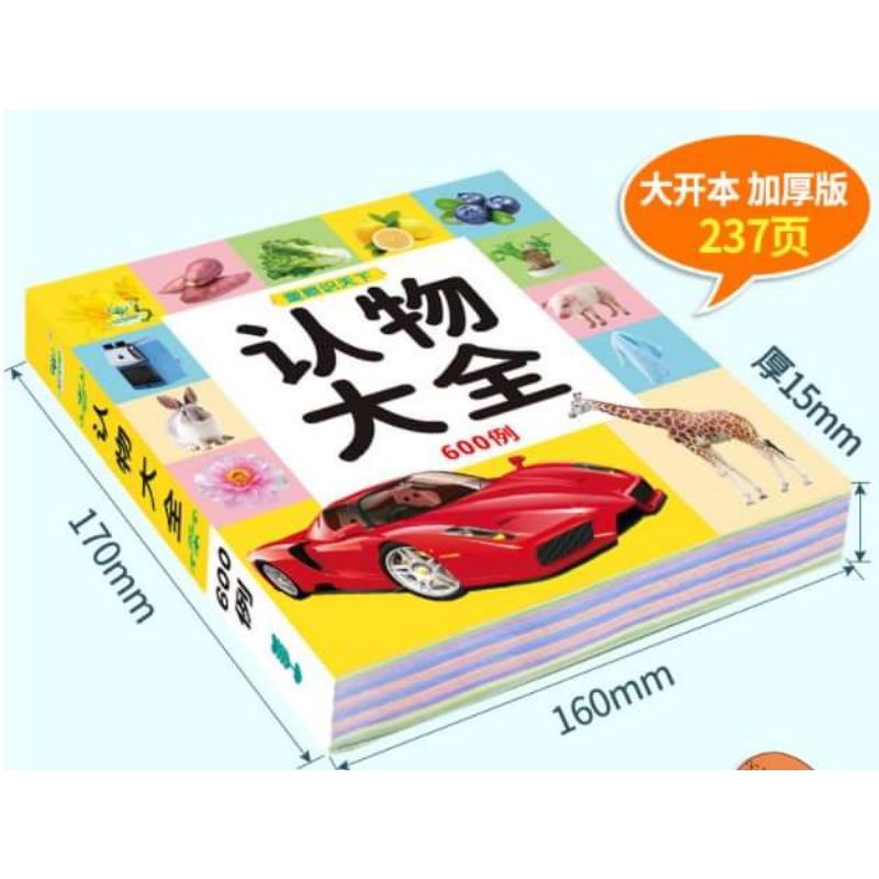 Learning Mandarin Words (600 things) Books - based on theme ( pinyin ...