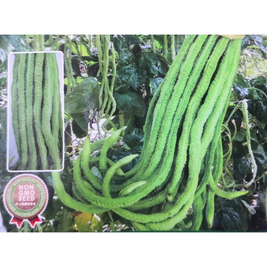 Benih Kacang Panjang Ular/ Snake Bean Seeds / 蛇豆种子 (10 Biji) | Shopee ...
